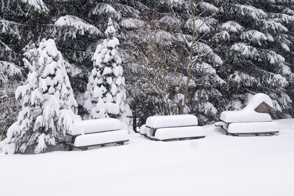 Snow Winter Landscape - Free photo on Pixabay