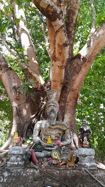 Tree Recluse Priest - Free photo on Pixabay