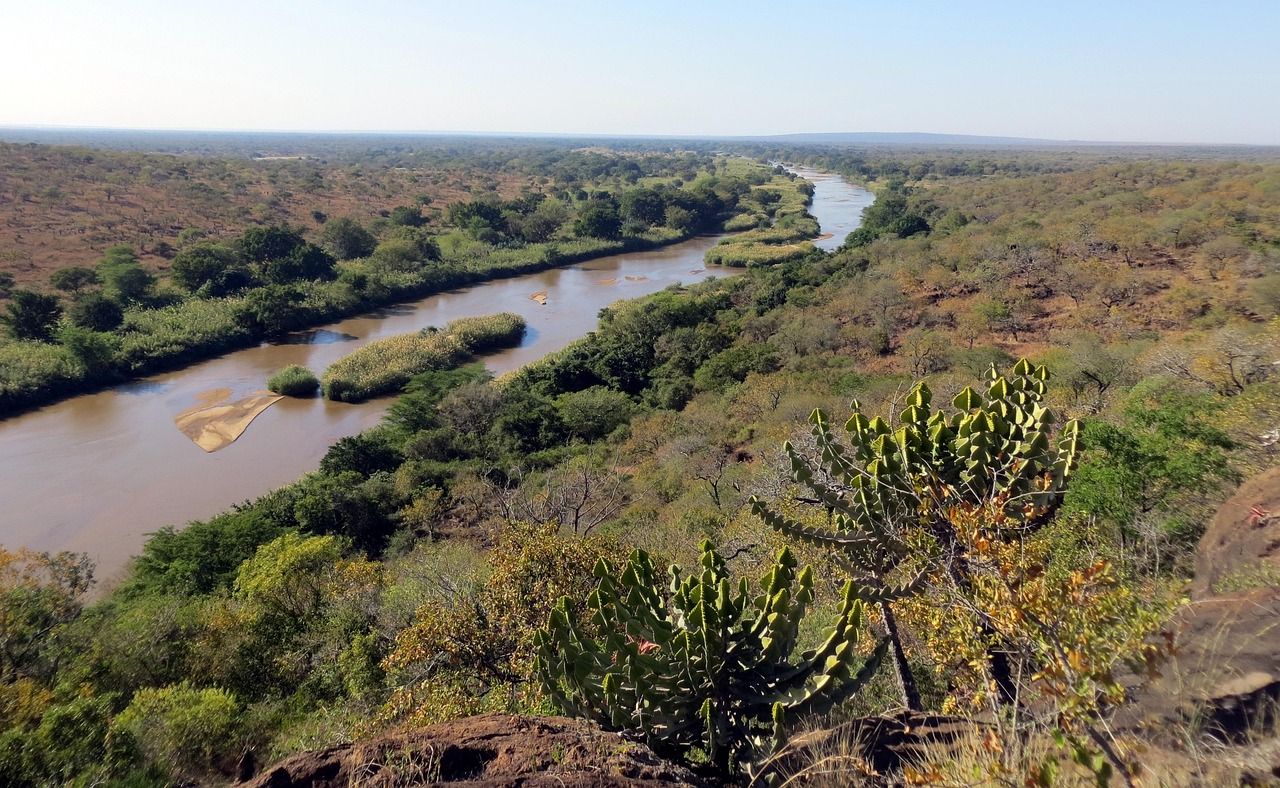Afrique Sauvage Nature - Photo gratuite sur Pixabay - Pixabay