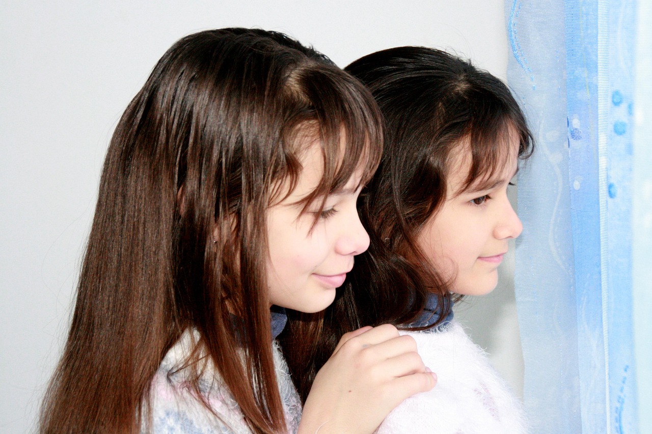 Hermanas Amor Abrazo Foto Gratis En Pixabay Pixabay