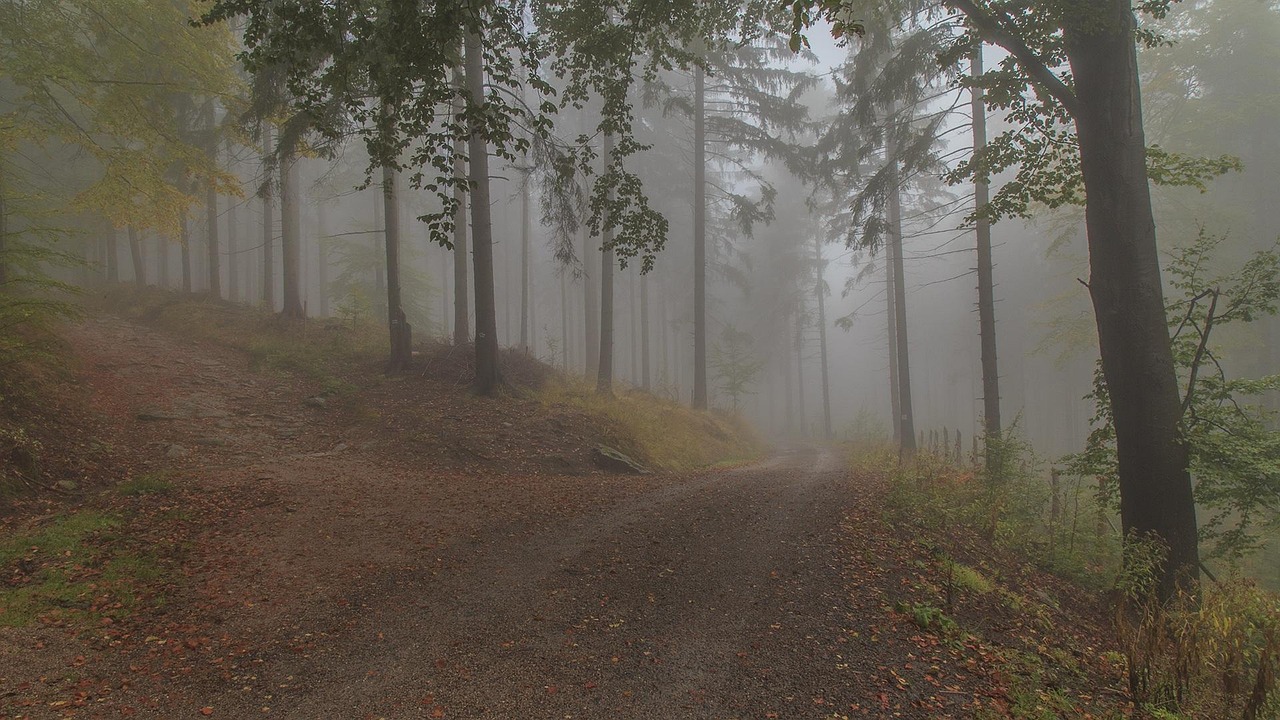 The Fog Giant Mountains - Free photo on Pixabay - Pixabay