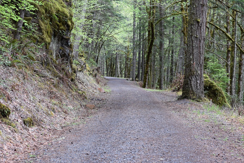 Route De Gravier Chemin - Photo gratuite sur Pixabay