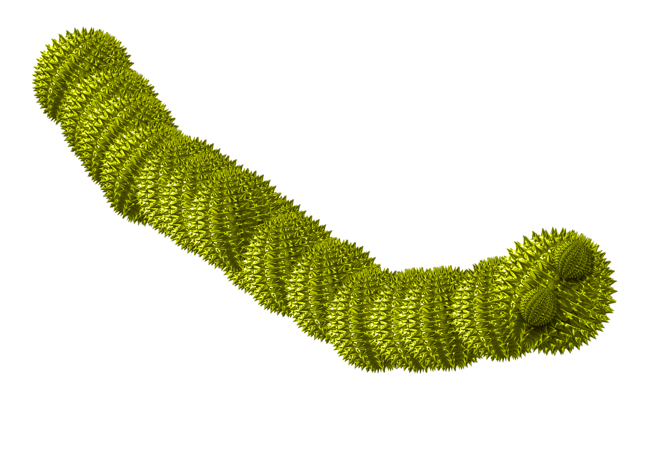 Worm Earthworm Cute - Free image on Pixabay