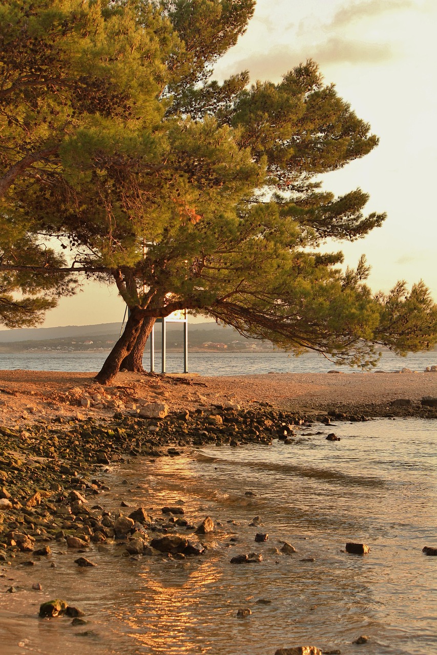 Playa De Gravilla Croacia Ambiente - Foto gratis en Pixabay - Pixabay