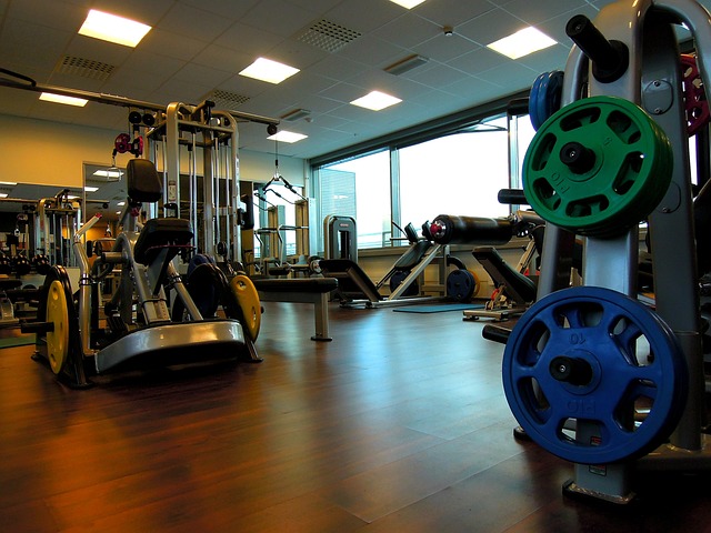 Gym In Fitness Weights - Free photo on Pixabay