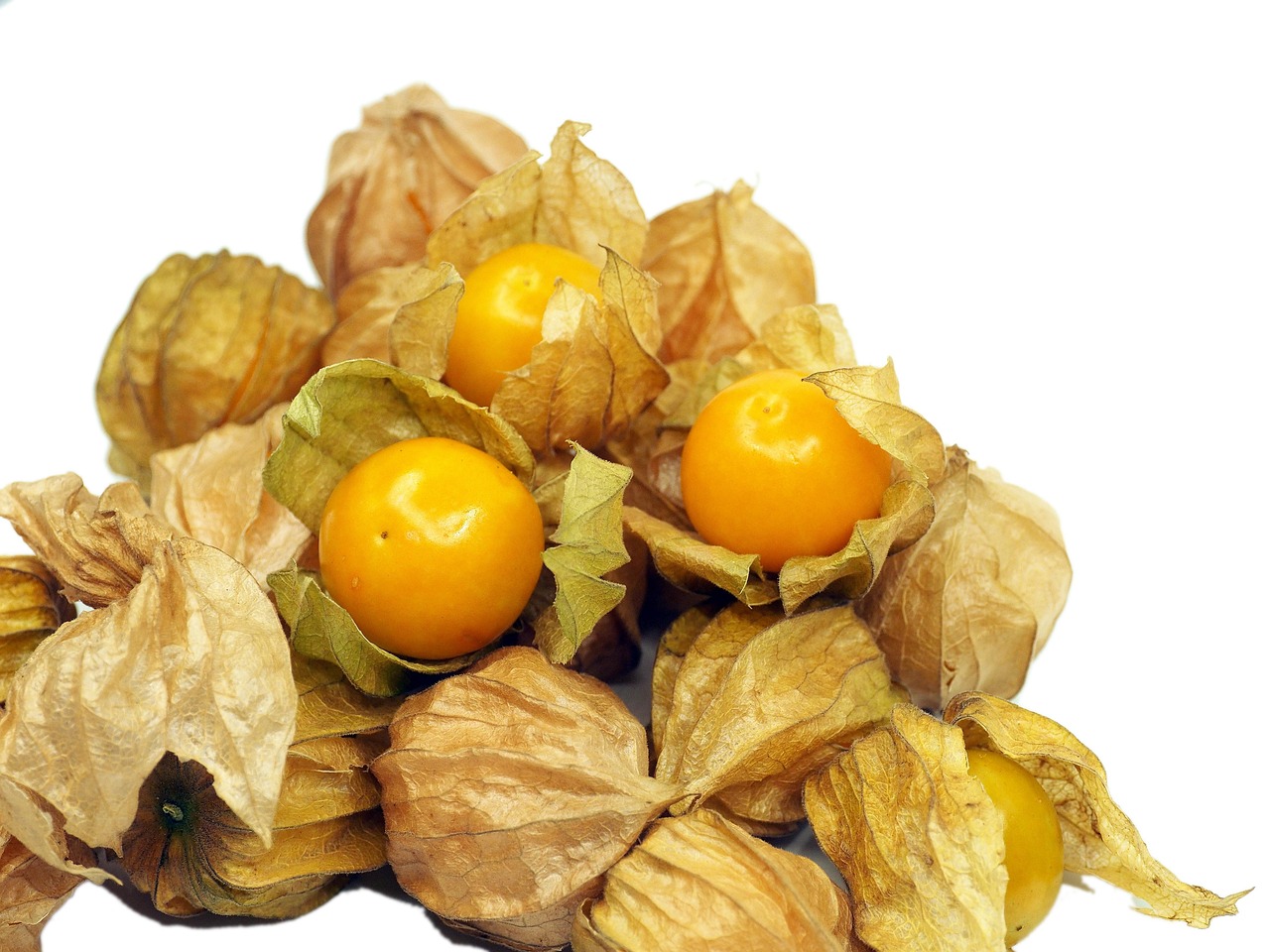 Gooseberry Fruit Health - Free photo on Pixabay - Pixabay