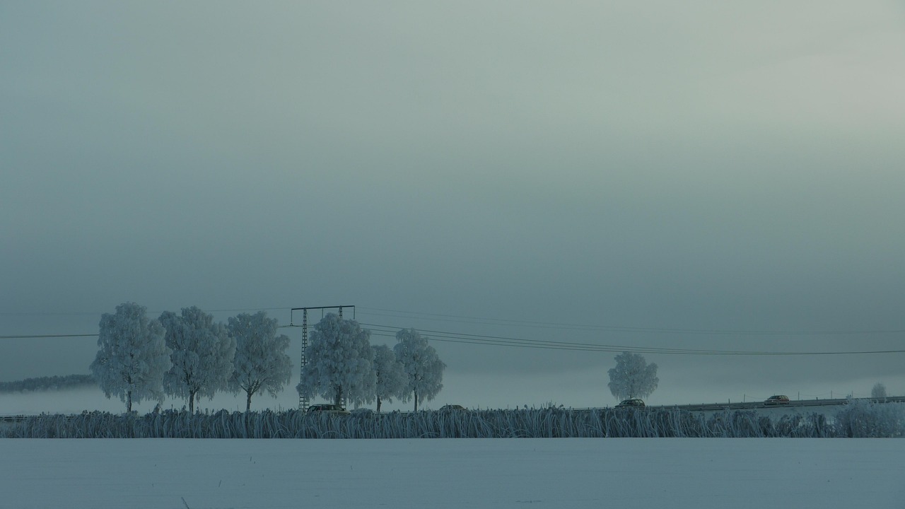 Winter Fog Cold - Free photo on Pixabay - Pixabay