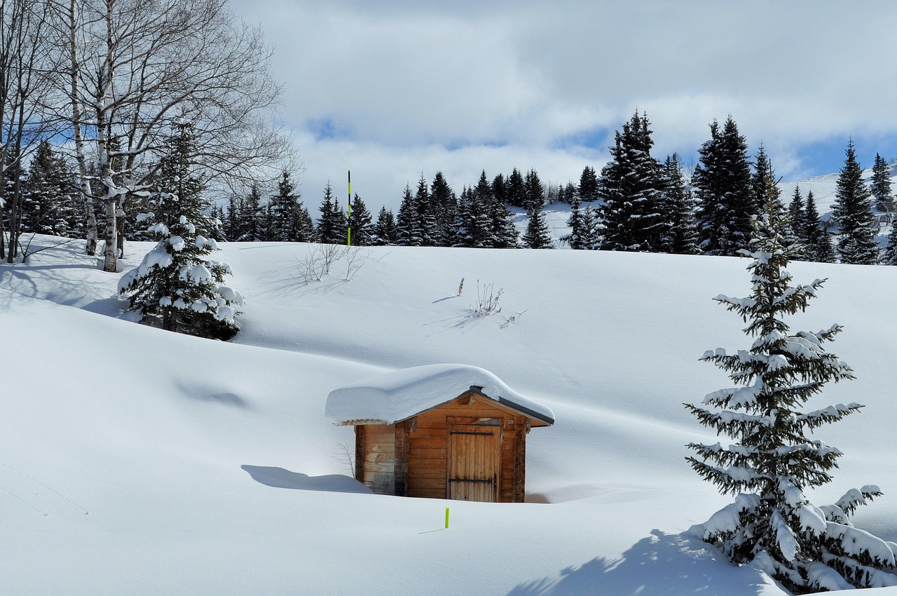 Plus de 800 images de Paysage Enneigé et de Nature - Pixabay