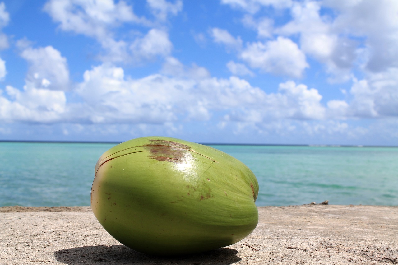 Coconut Guam Sky - Free photo on Pixabay - Pixabay