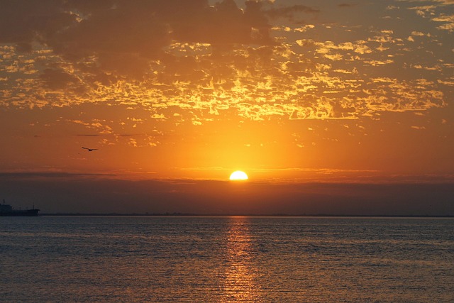 Sun Raise Nature - Free photo on Pixabay