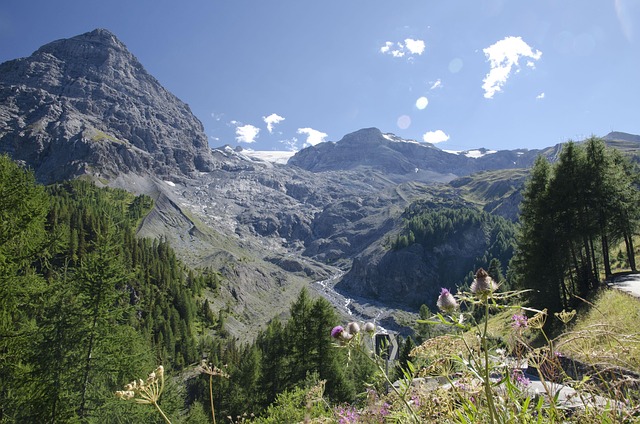Ortler Mountains The Alps - Free photo on Pixabay - Pixabay