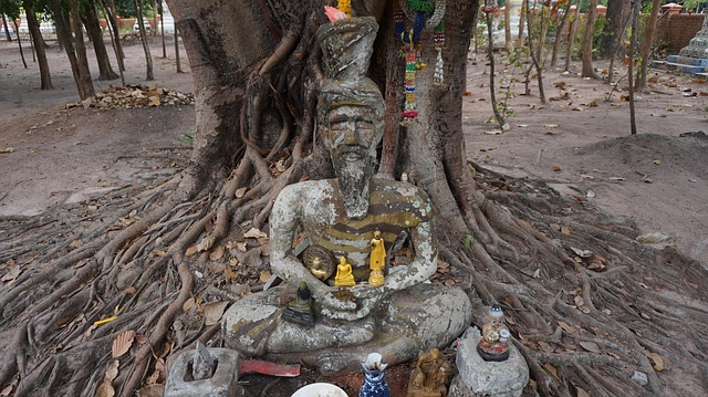 Tree Recluse Priest - Free photo on Pixabay