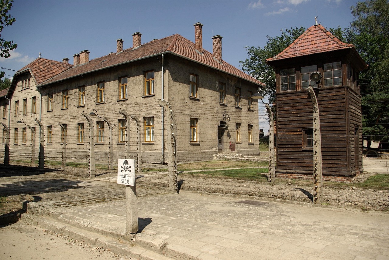 Más de 100 imágenes gratis de El Nazismo y Holocausto - Pixabay