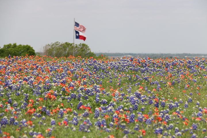 2,000+ of the Best Pictures of Texas in HD