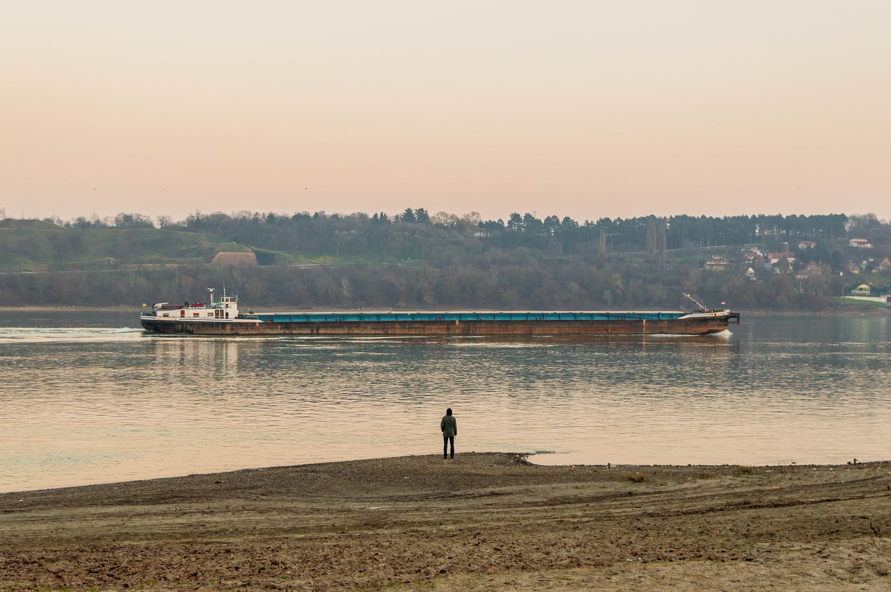 Novi Traurig Serbien Donau - Kostenloses Foto auf Pixabay - Pixabay