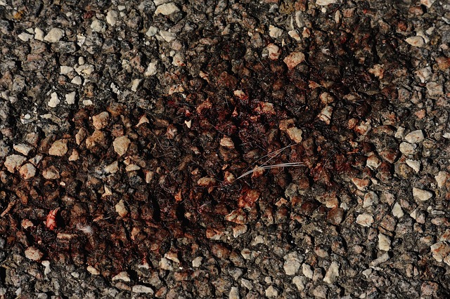 Asphalt Traffic Accident Blood - Free photo on Pixabay