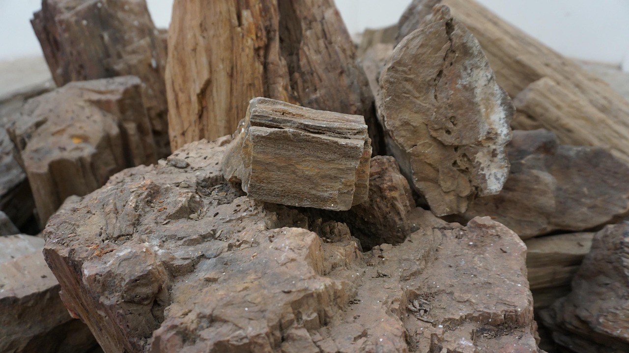 Madera Petrificada Rock Antiguo - Foto gratis en Pixabay - Pixabay