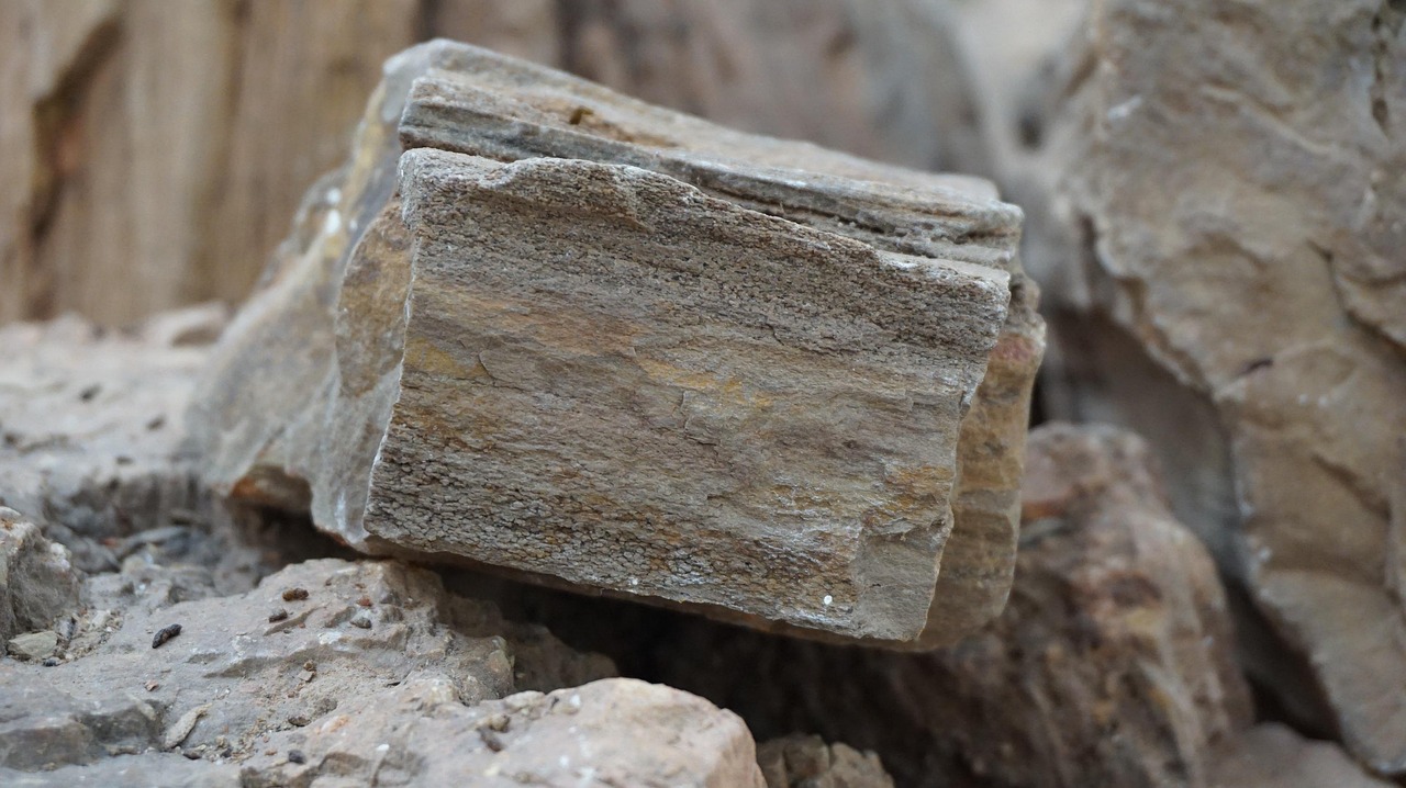 Madera Petrificada Rock Antiguo - Foto gratis en Pixabay - Pixabay