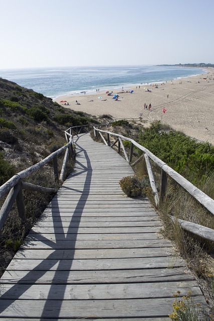 Trafalgar Lighthouse Beach Costa - Free photo on Pixabay - Pixabay