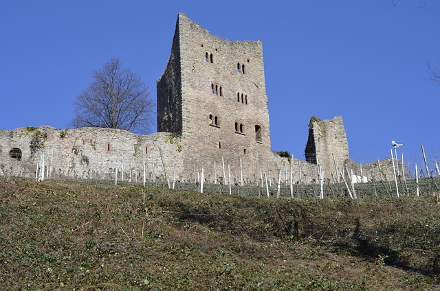 Castle Schauenburg Ruins - Free photo on Pixabay - Pixabay