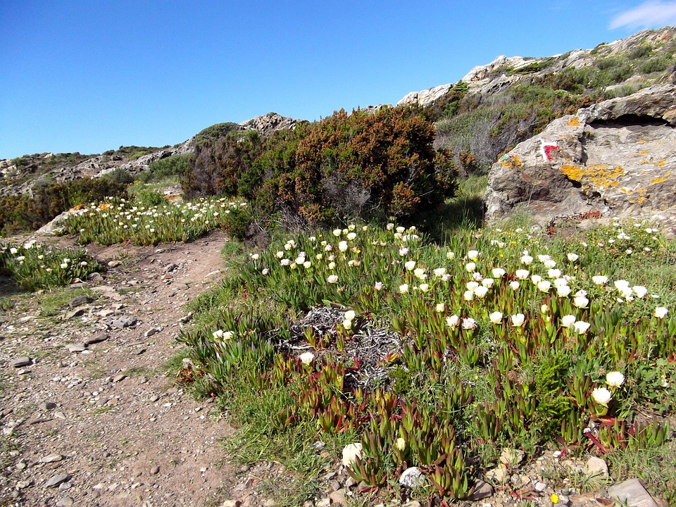 Seaside Path Hiking - Free photo on Pixabay