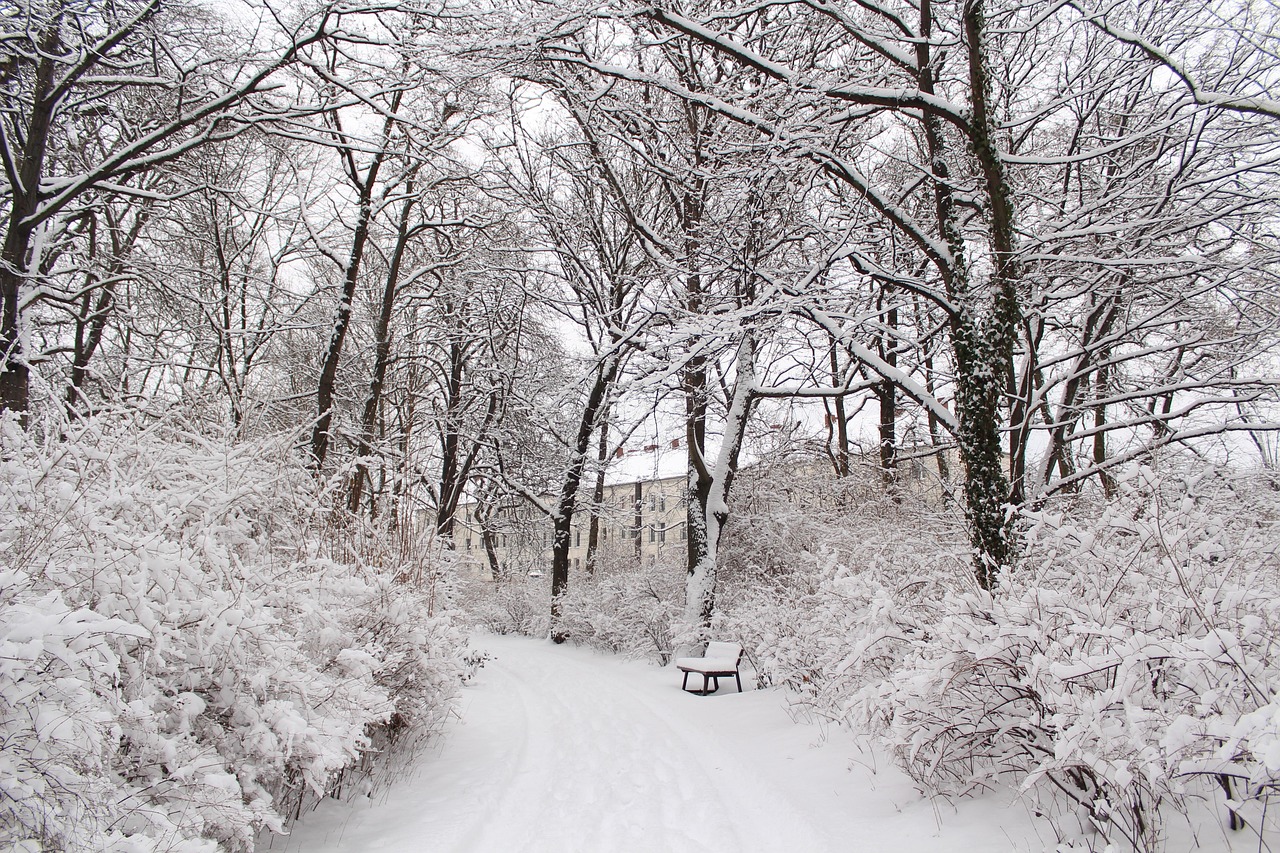 Neve Frio Inverno Paisagem De - Foto gratuita no Pixabay - Pixabay