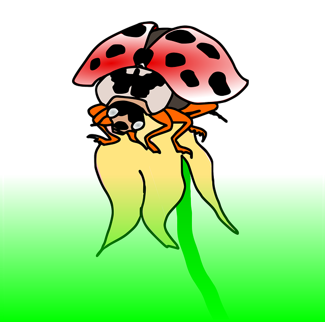Ladybug Insect Vector - Free vector graphic on Pixabay