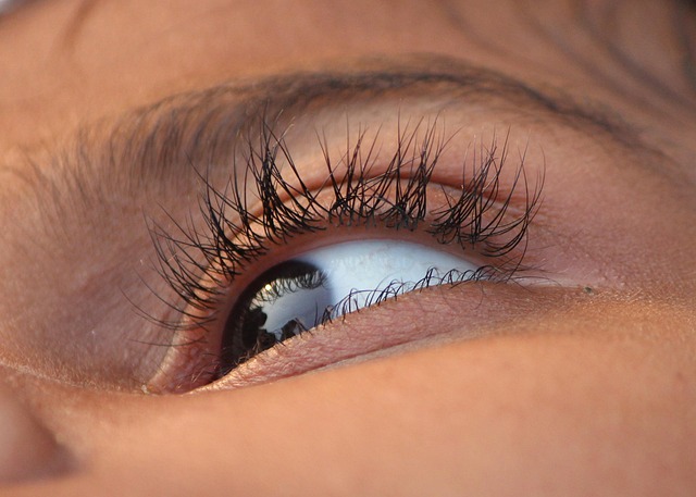 Eye Lid Ball - Free photo on Pixabay