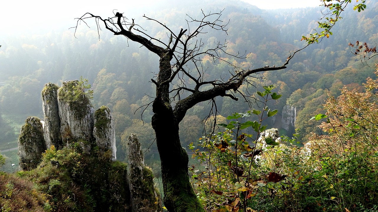 Polen Natur Landschaft - Kostenloses Foto auf Pixabay - Pixabay
