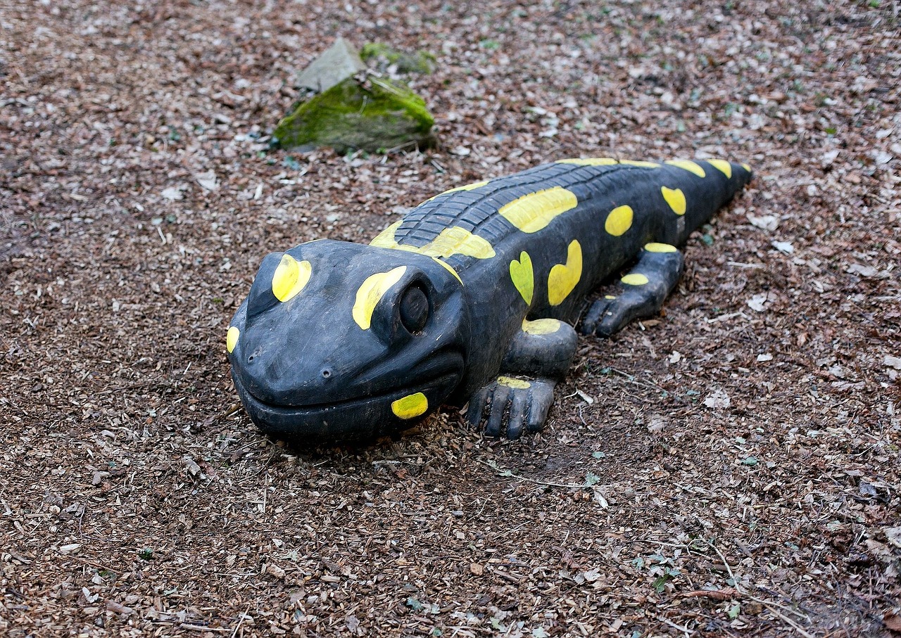 Salamander Big Wooden - Free photo on Pixabay