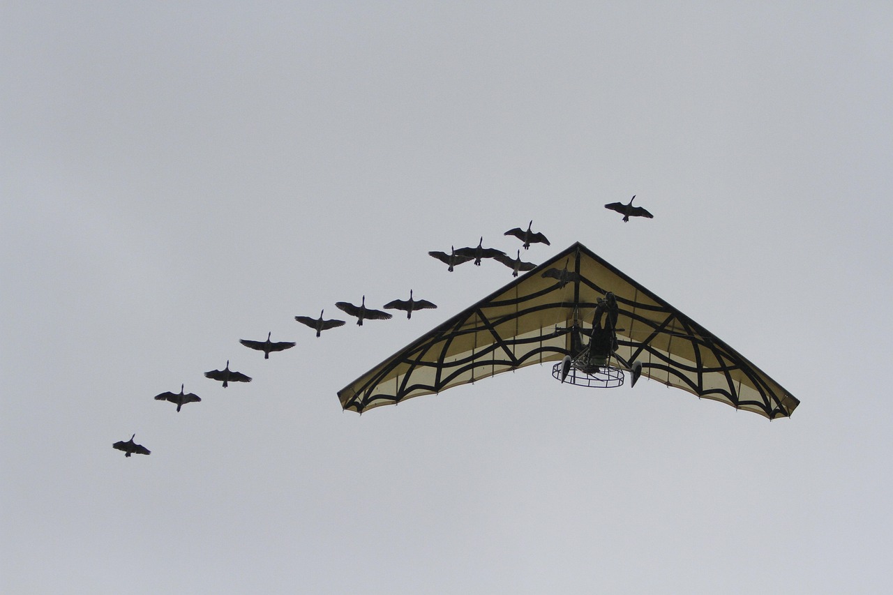 Gansos Avión Puy Du Fou - Foto gratis en Pixabay