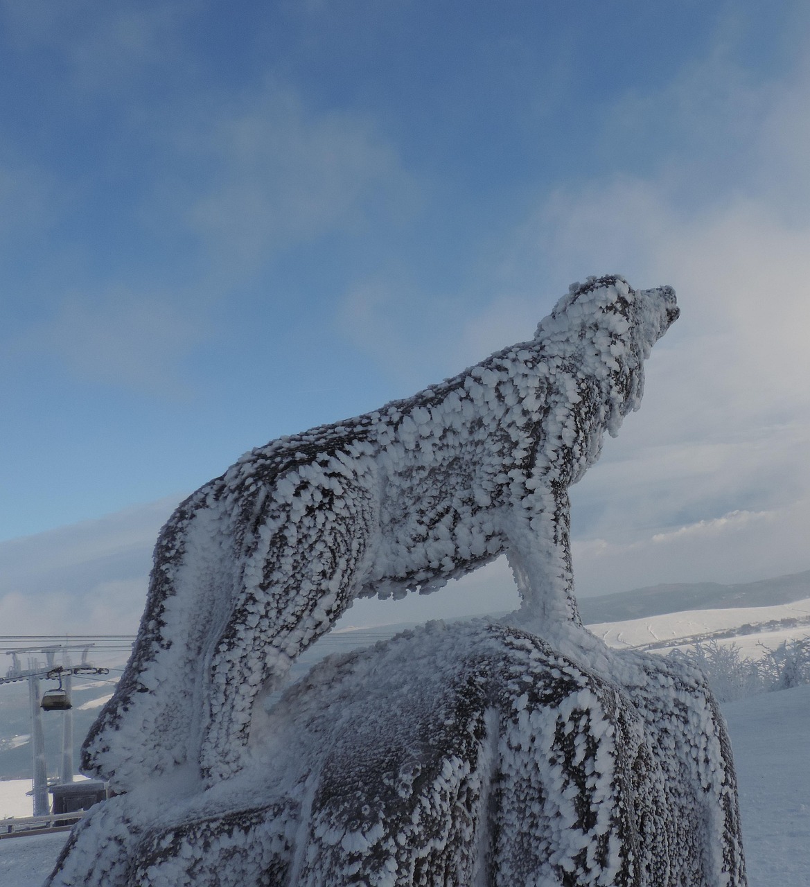 Wolf Ice Cream Fichtelberg - Free photo on Pixabay