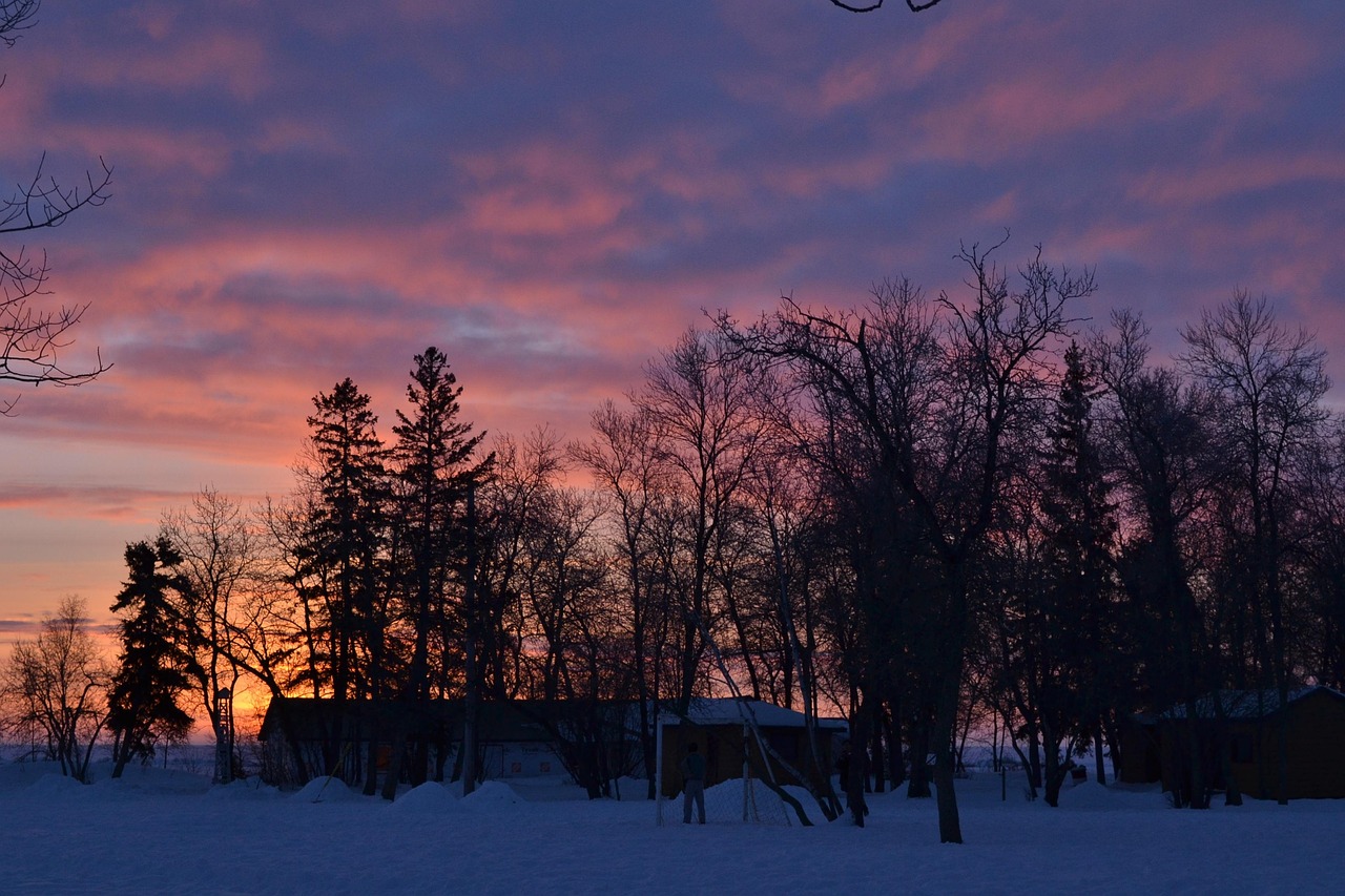 Puita Siluetti Auringonnousu - Ilmainen valokuva Pixabayssa - Pixabay