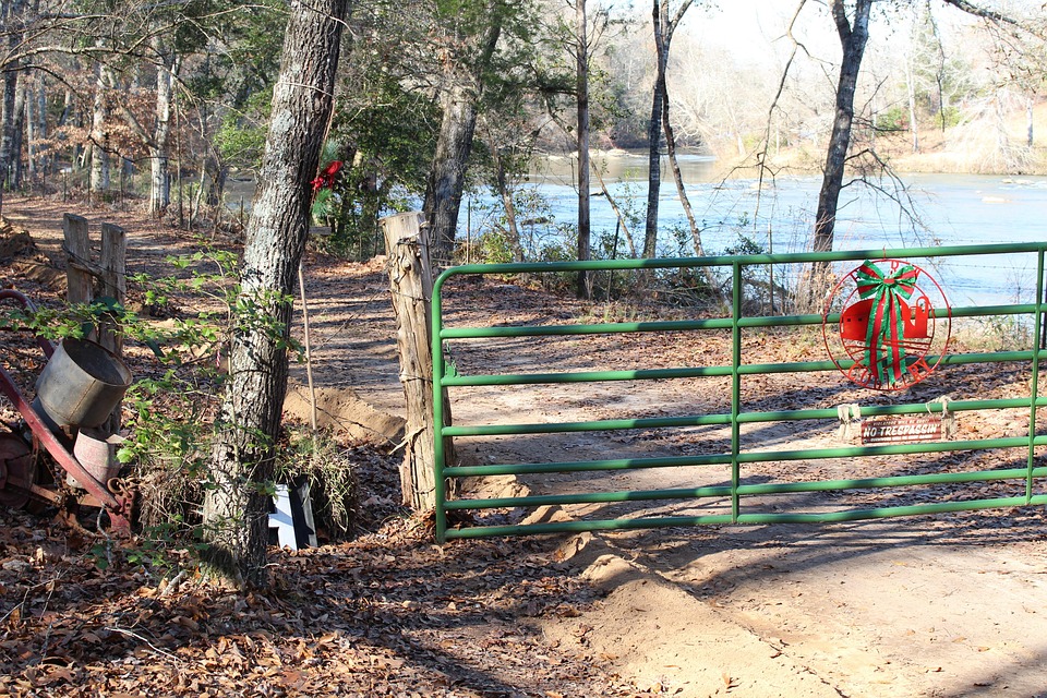 Free photo: Fall, Autumn, River, Nature, Trail - Free Image on Pixabay ...