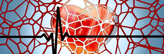 10,000+ Free Heart Disease & Heartbeat Images - Pixabay