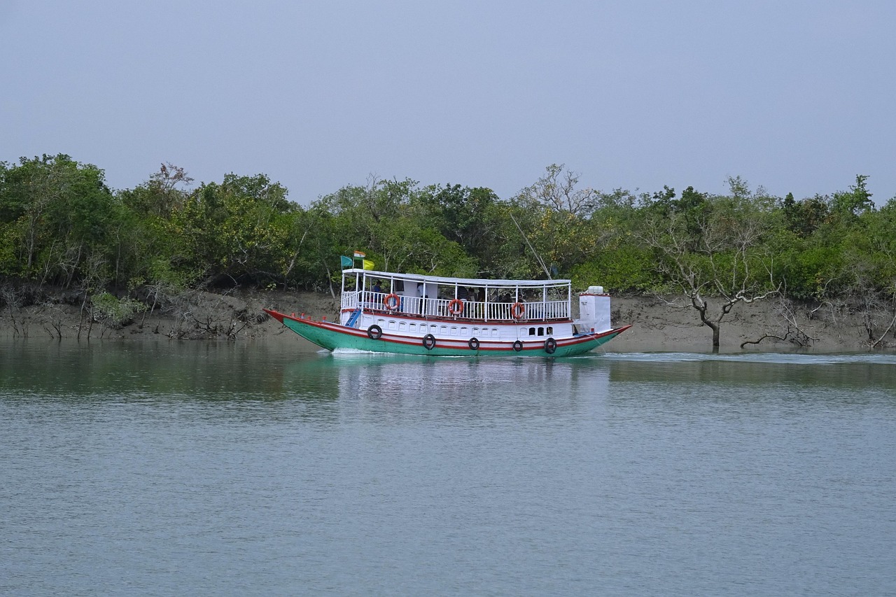 Boat River Mangroves - Free photo on Pixabay - Pixabay