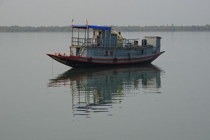 50+ Free Sundarban & India Images