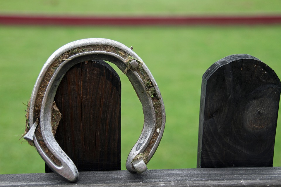 Horseshoe Horses Metal - Free photo on Pixabay - Pixabay