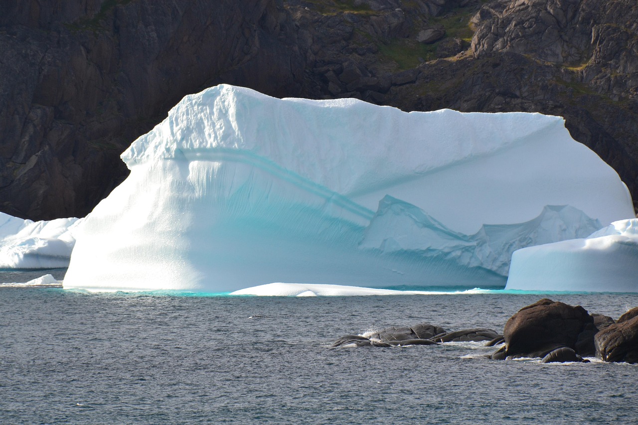 300+ Free Grøntsager Sund & Sundae Images - Pixabay