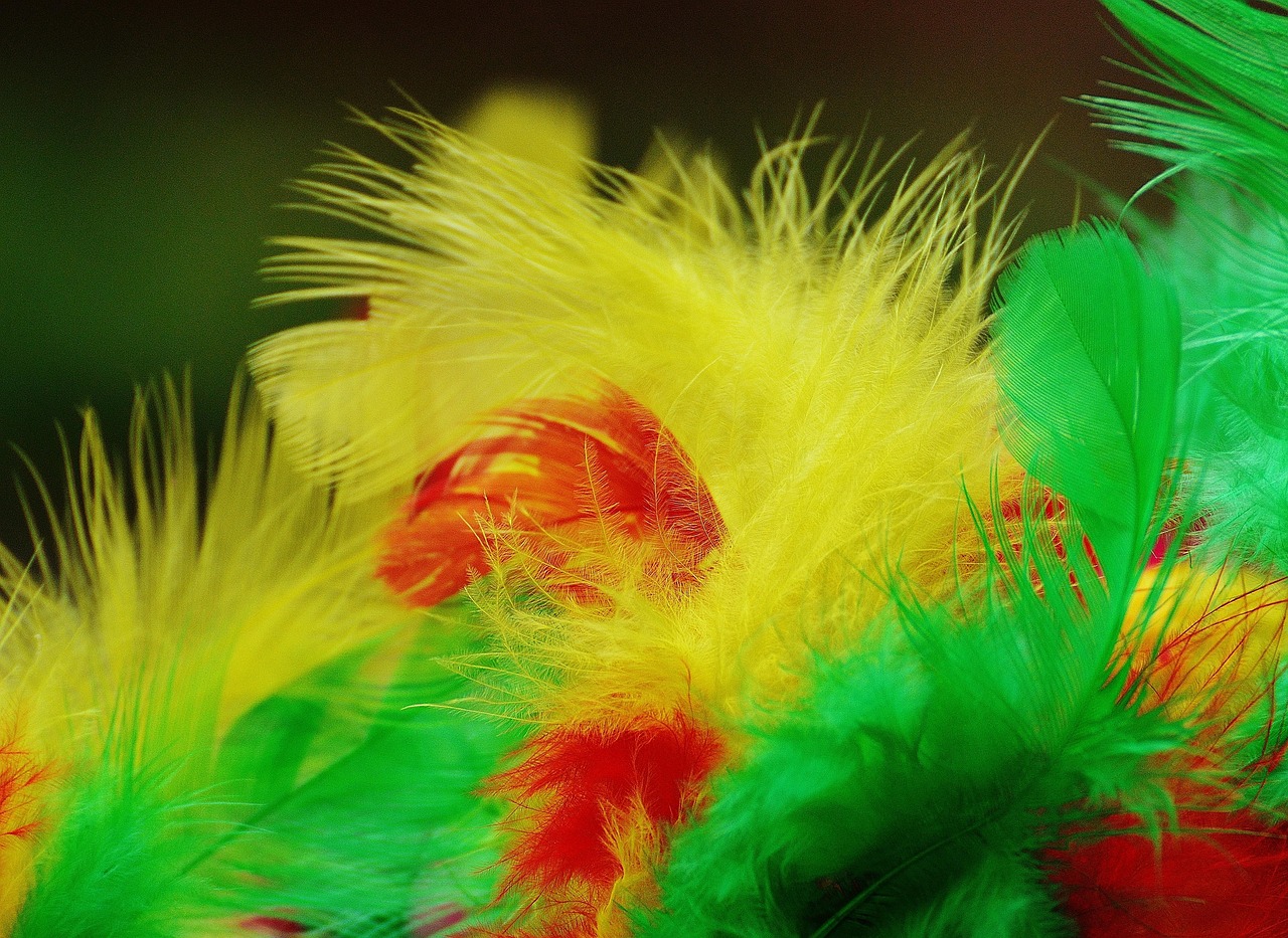 Foam Balls Feathers Multicoloured - Free photo on Pixabay - Pixabay