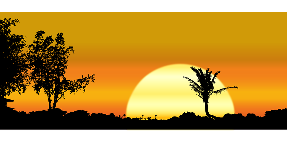 Download Maui, Hawaii, Sunset. Royalty-Free Vector Graphic - Pixabay