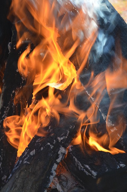 Fire Campfire Flame - Free photo on Pixabay