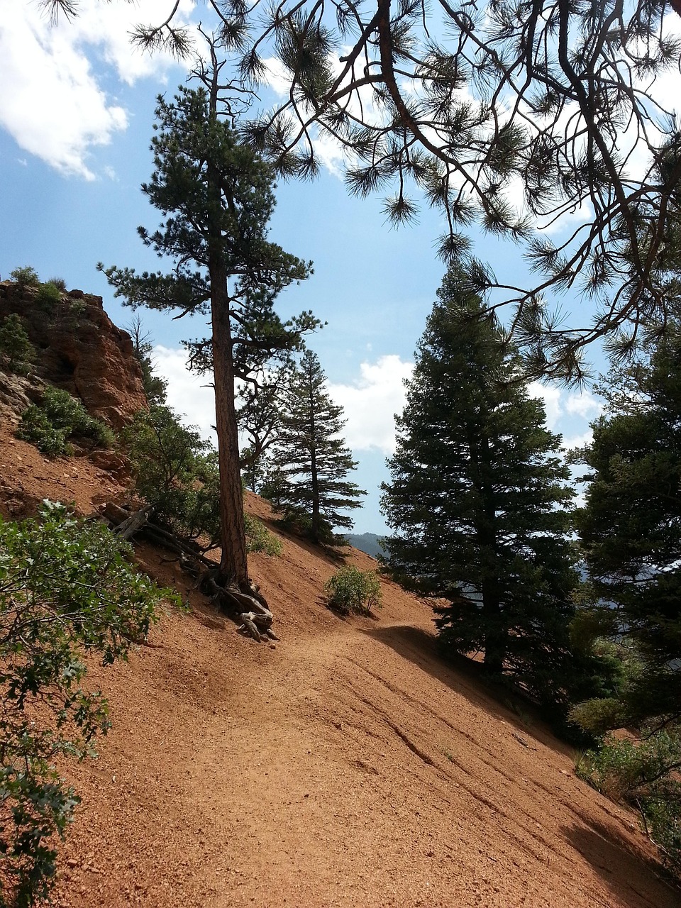 Colorado Montanhas Natureza - Foto gratuita no Pixabay - Pixabay