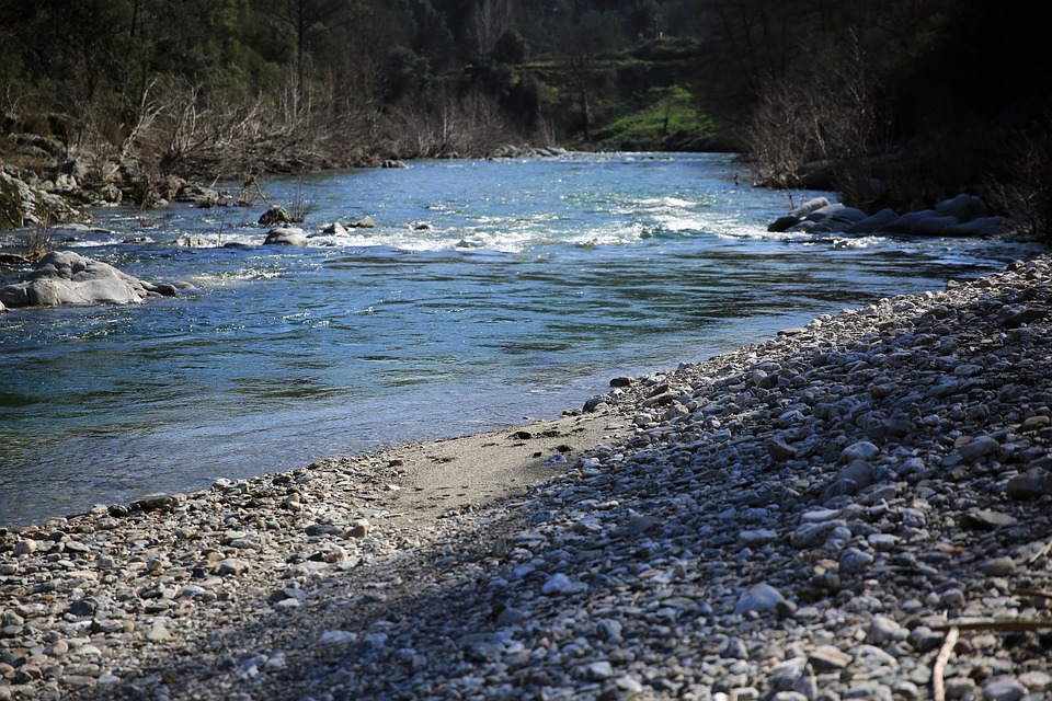 Water Stream River Nature - Free photo on Pixabay