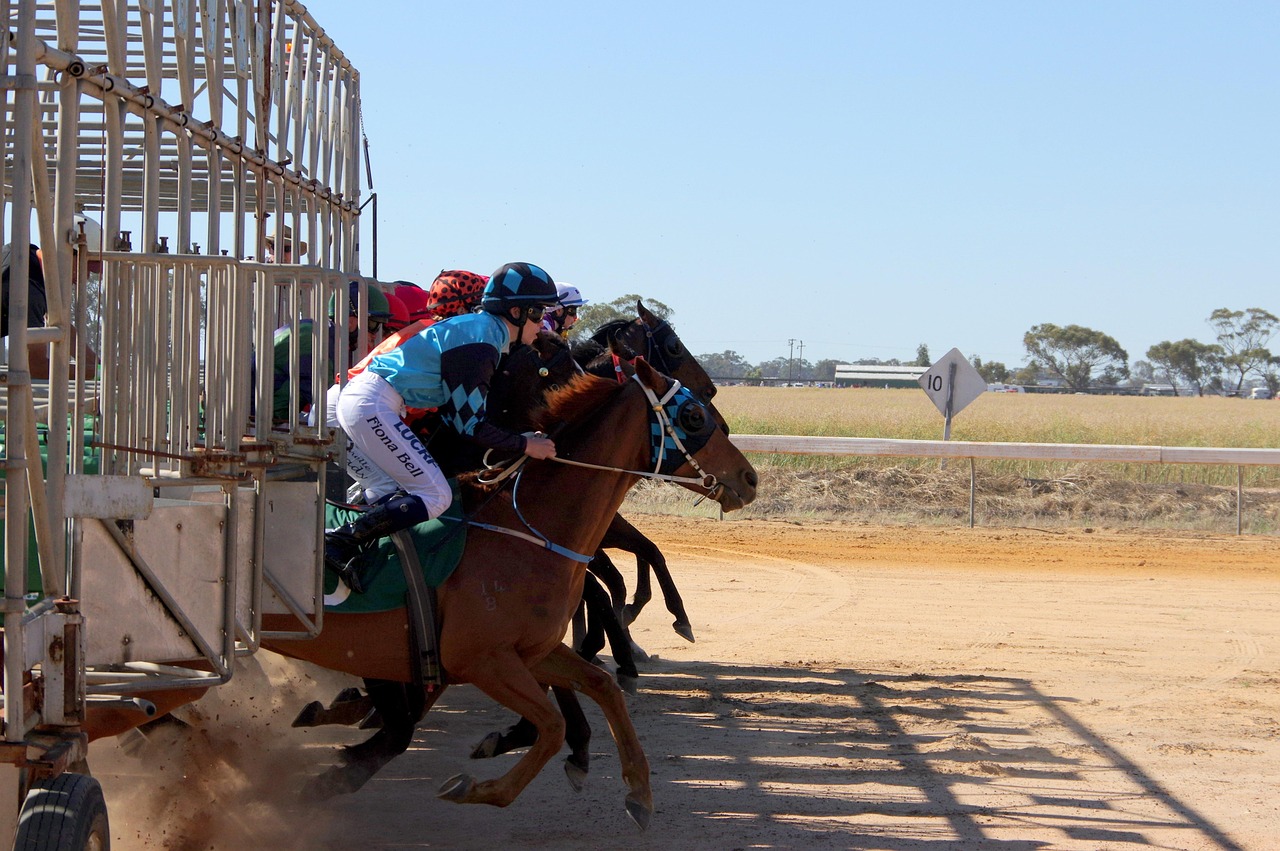 Horse Racing Barrier - Free photo on Pixabay - Pixabay