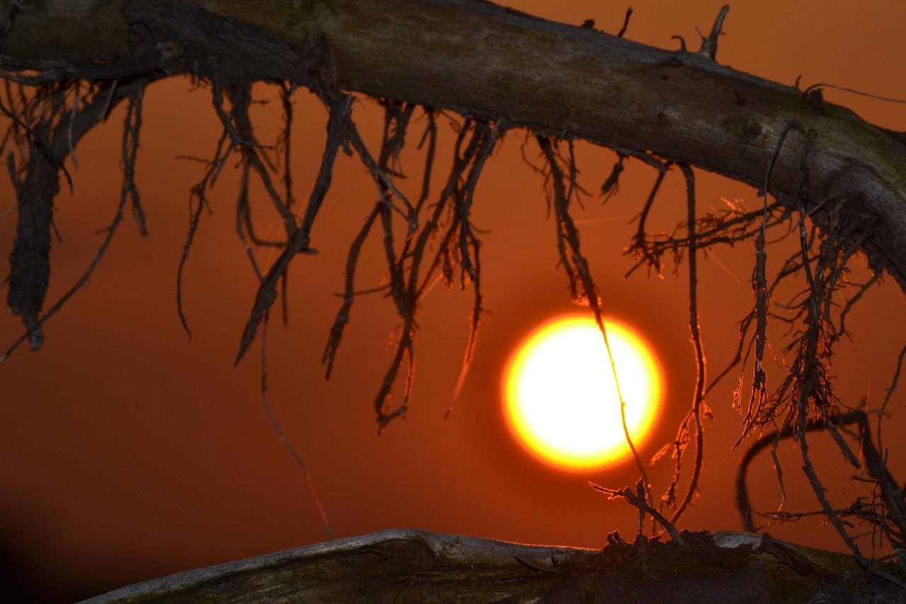 Sunset Evening Sky Nature - Free photo on Pixabay