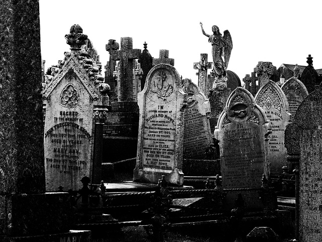 Cornwall Cemetery - Free photo on Pixabay - Pixabay
