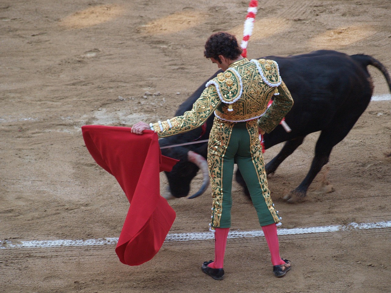 Jose Tomas Torero - Foto gratis di Pixabay
