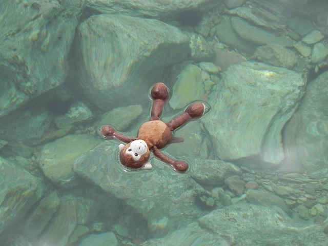 Water Stuffed Animal Ape - Free photo on Pixabay - Pixabay