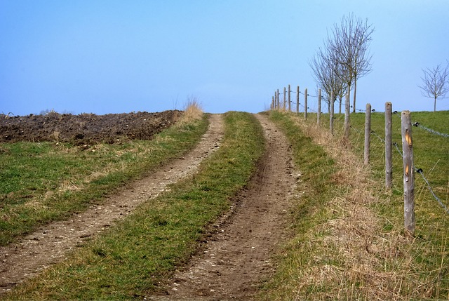 Dirt Road Path Nature - Free photo on Pixabay - Pixabay